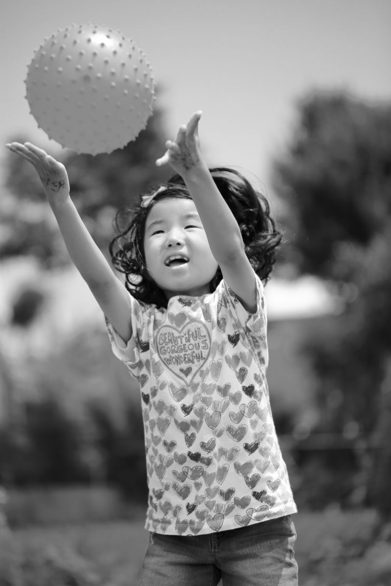 you can catch it ! | GANREF