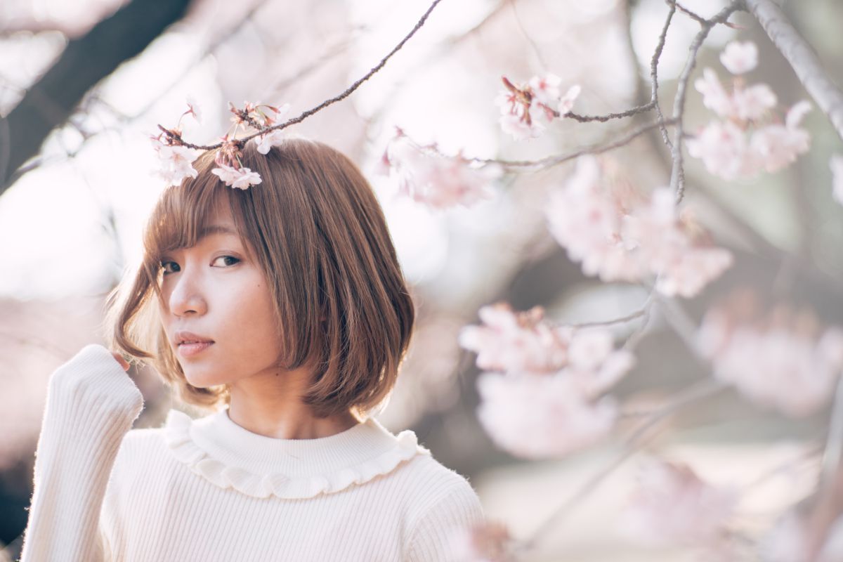 cherry light | GANREF