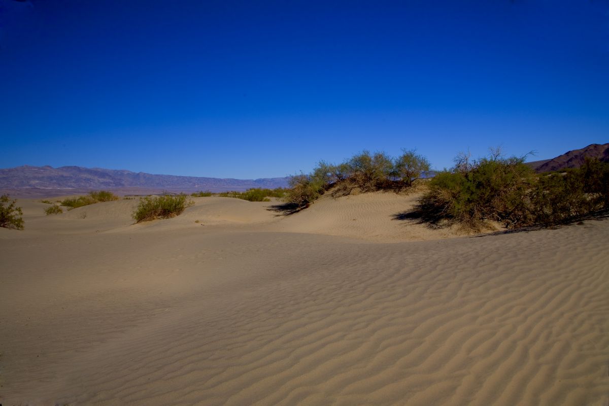 Scene from desert -2 | GANREF