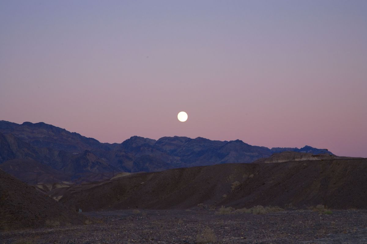 Scene from desert -12 | GANREF