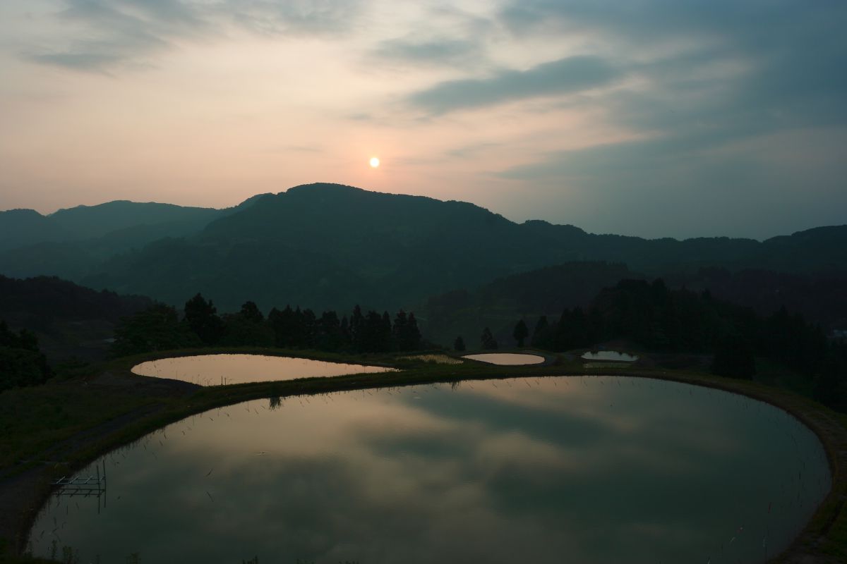 _DPP_870.JPG | GANREF