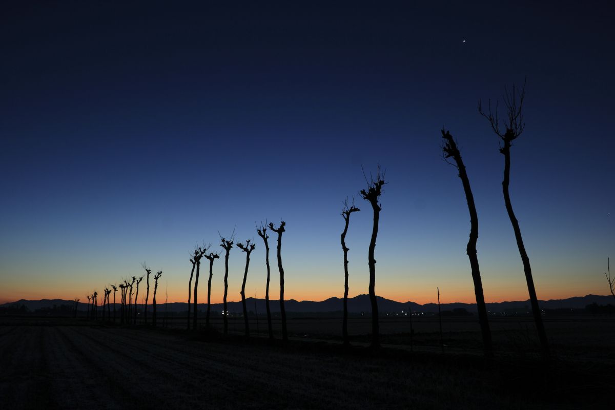 茜色2010．12 | GANREF