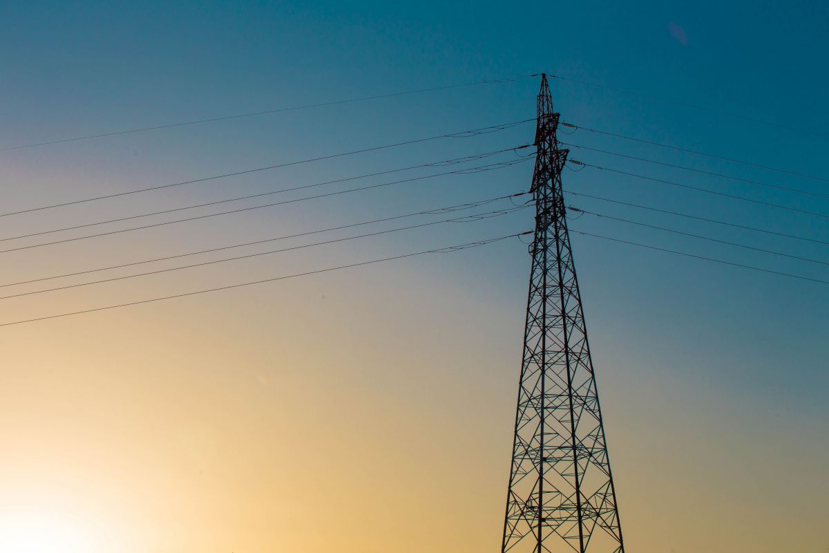 half nelson | GANREF