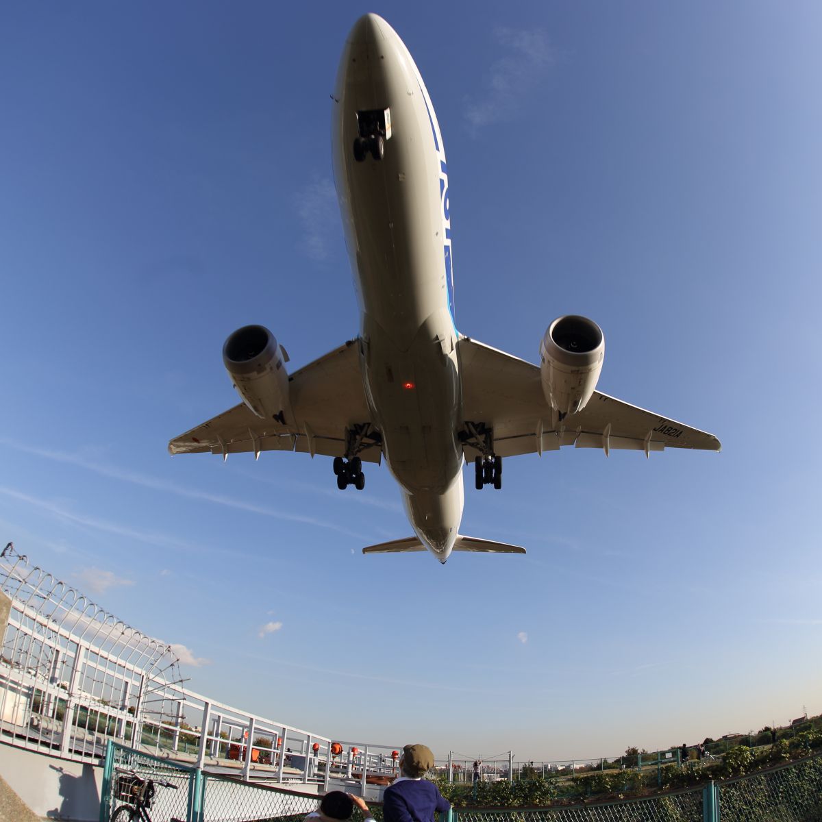 見上げてみれば・・ | GANREF