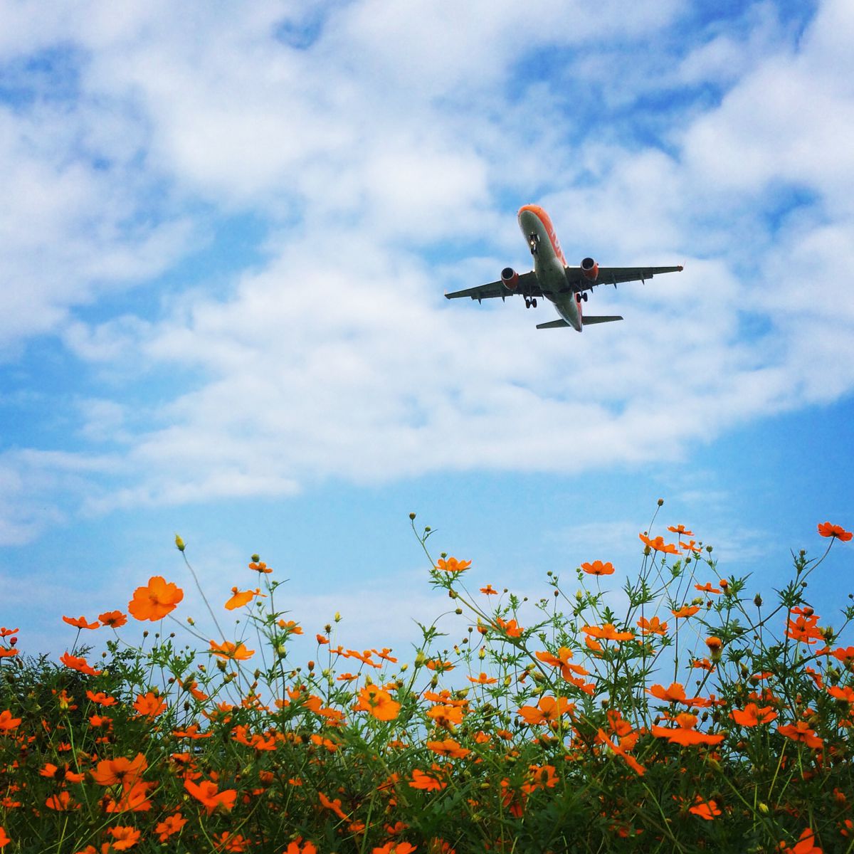 コーディネート | GANREF