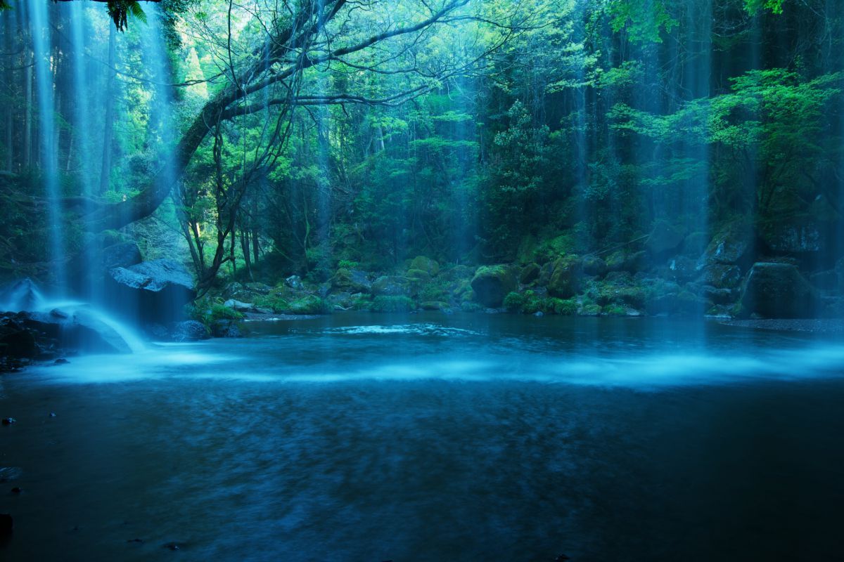 Over the Veil | GANREF