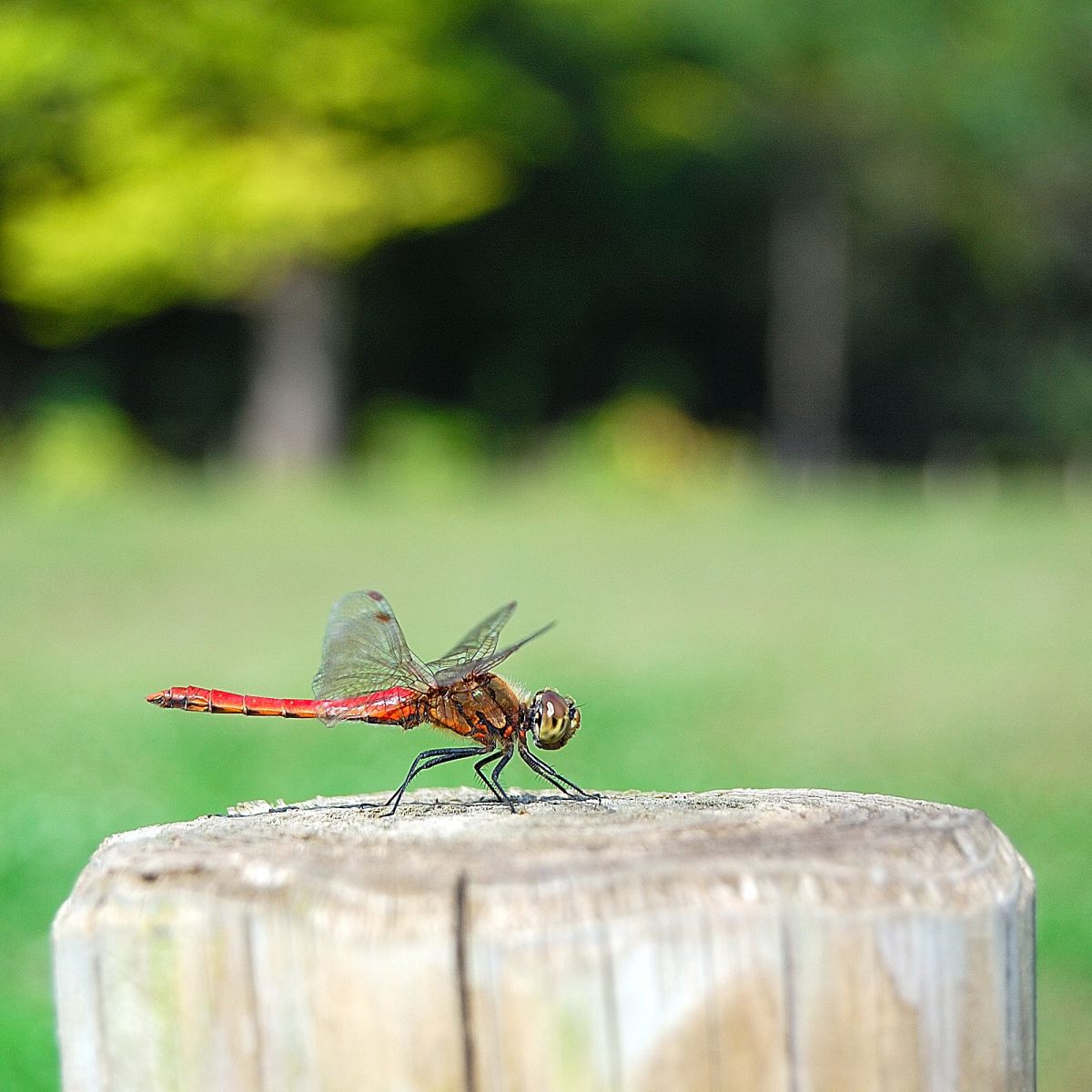 On your mark , Ready. | GANREF