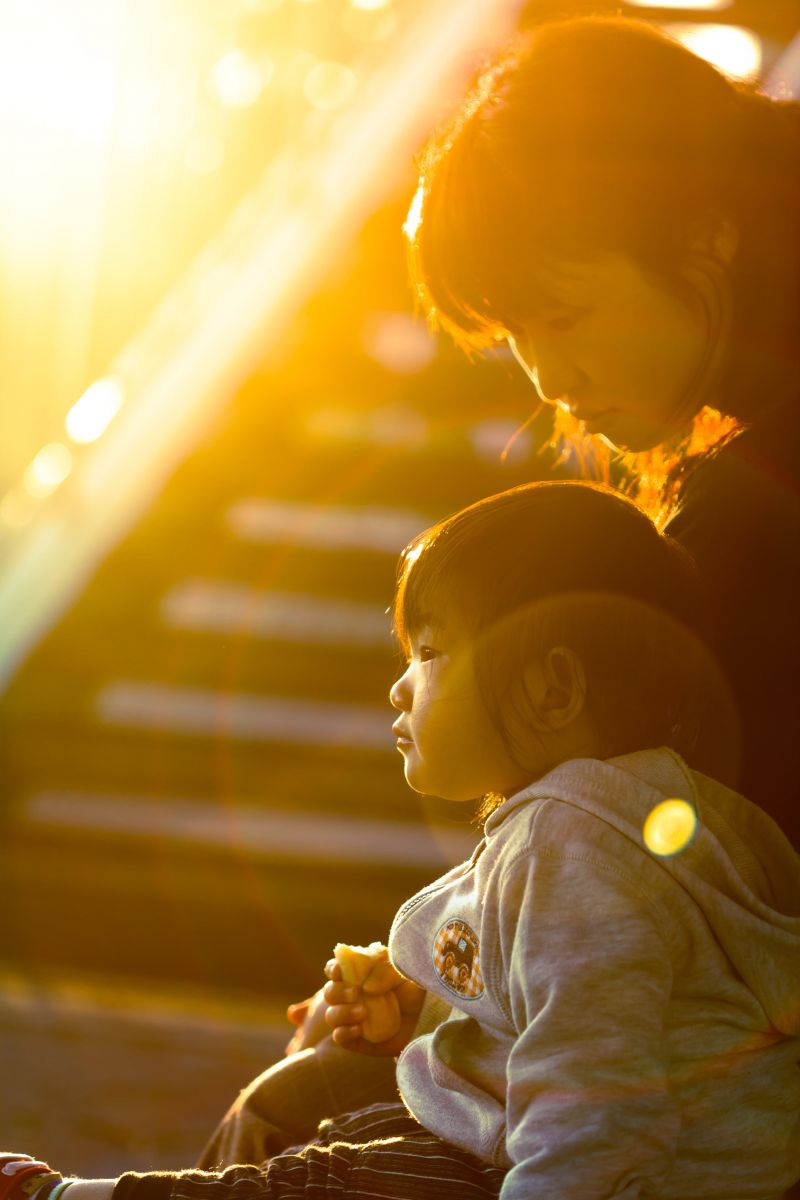 夕日の中で | GANREF