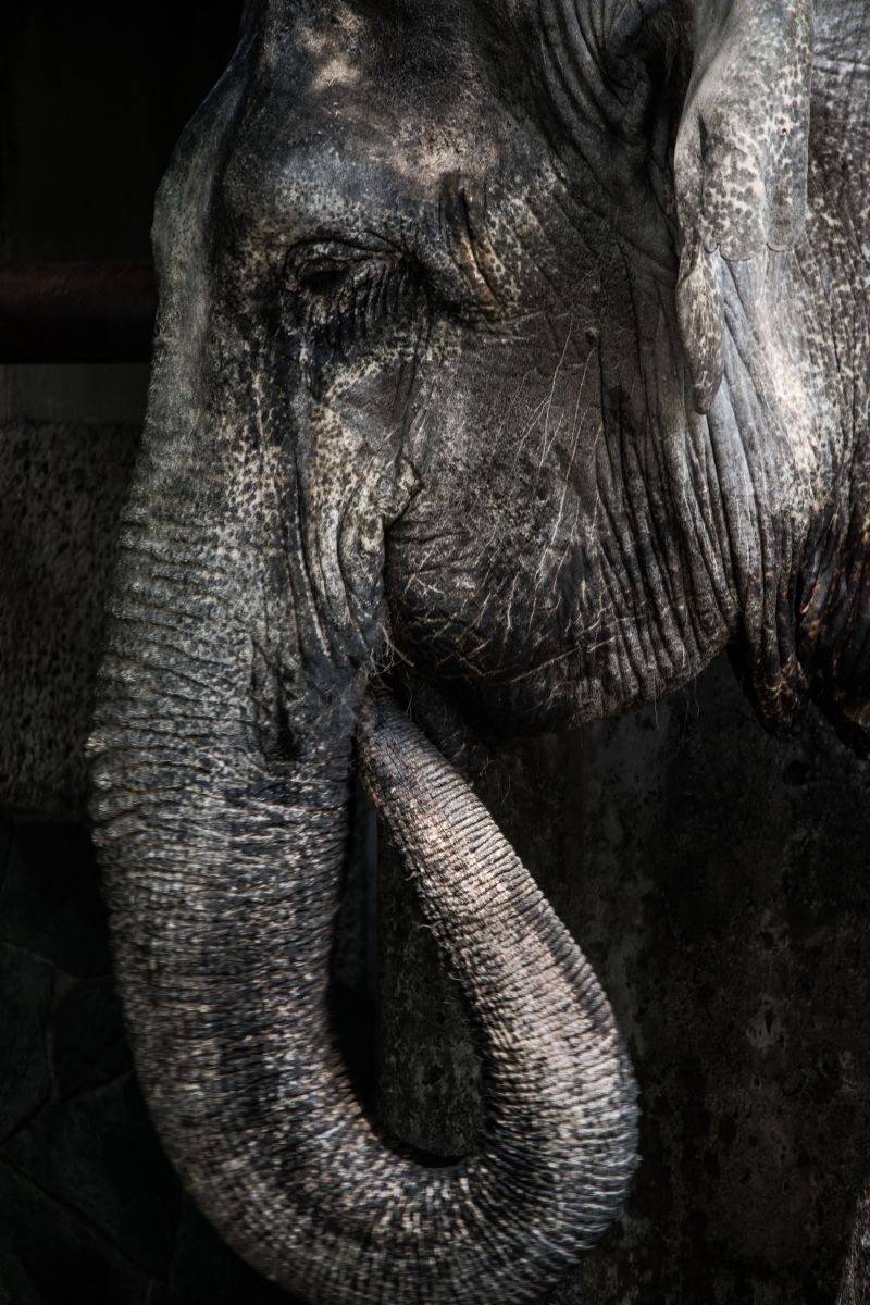 once upon a time | GANREF