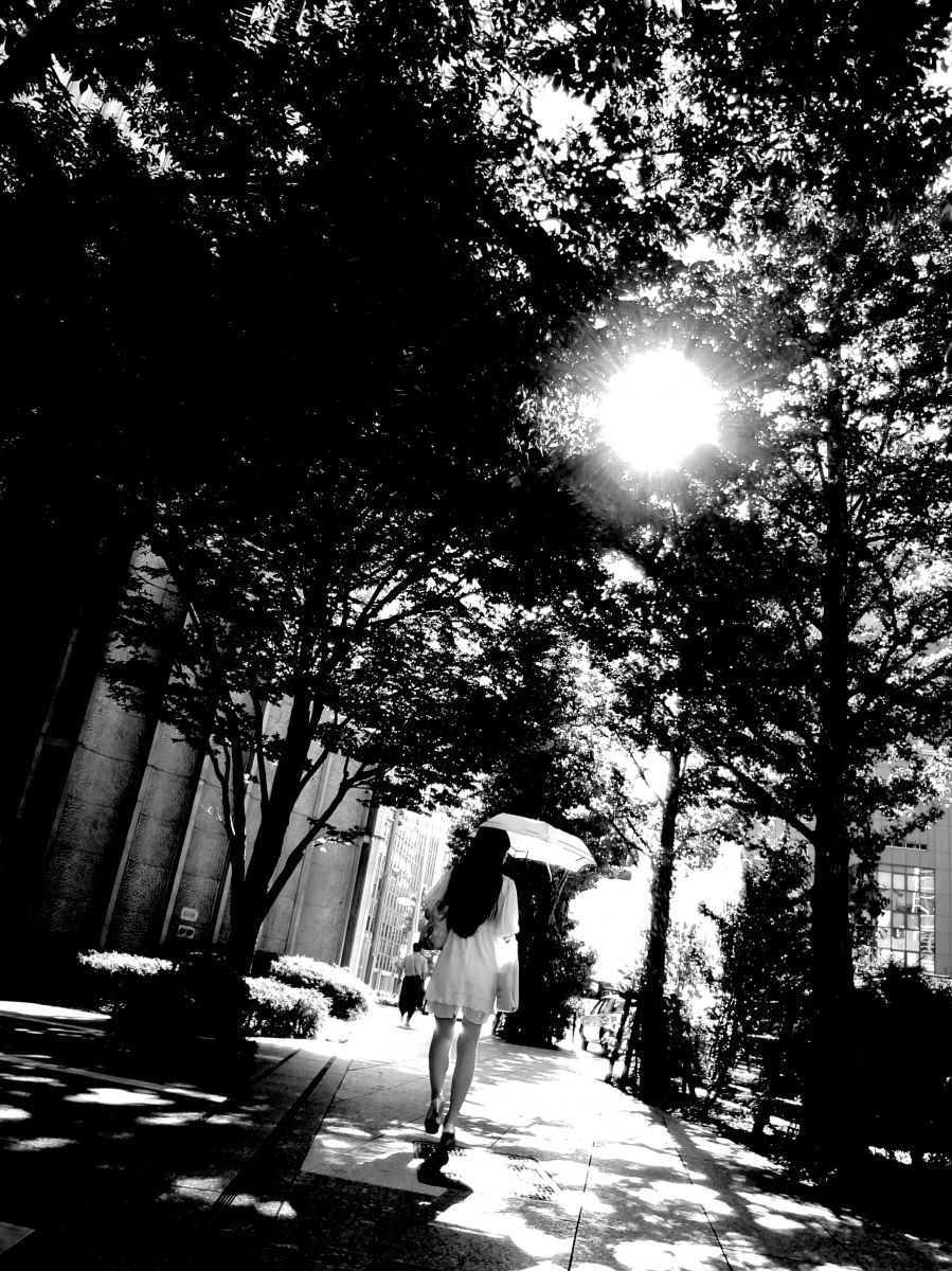 Secret of the Morning | GANREF