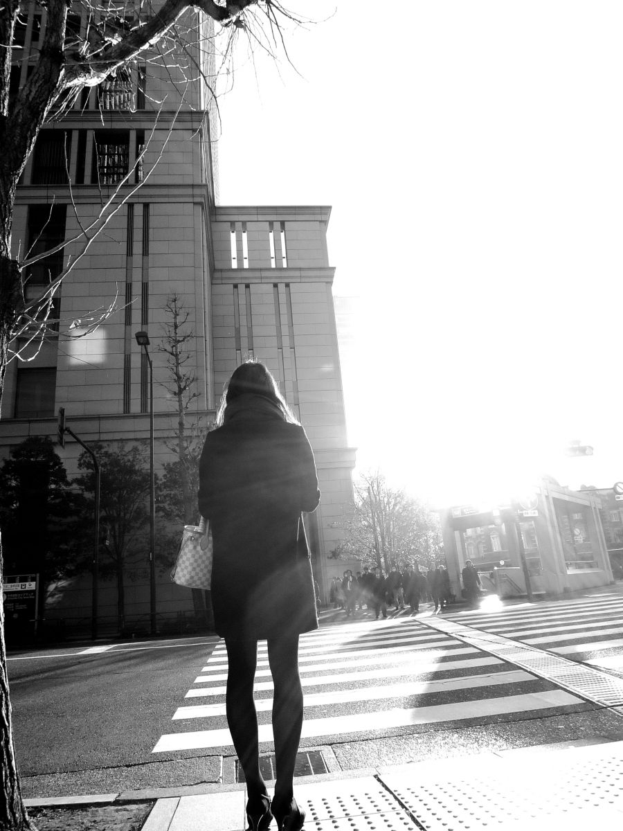 Winter Morning Sunshine | GANREF