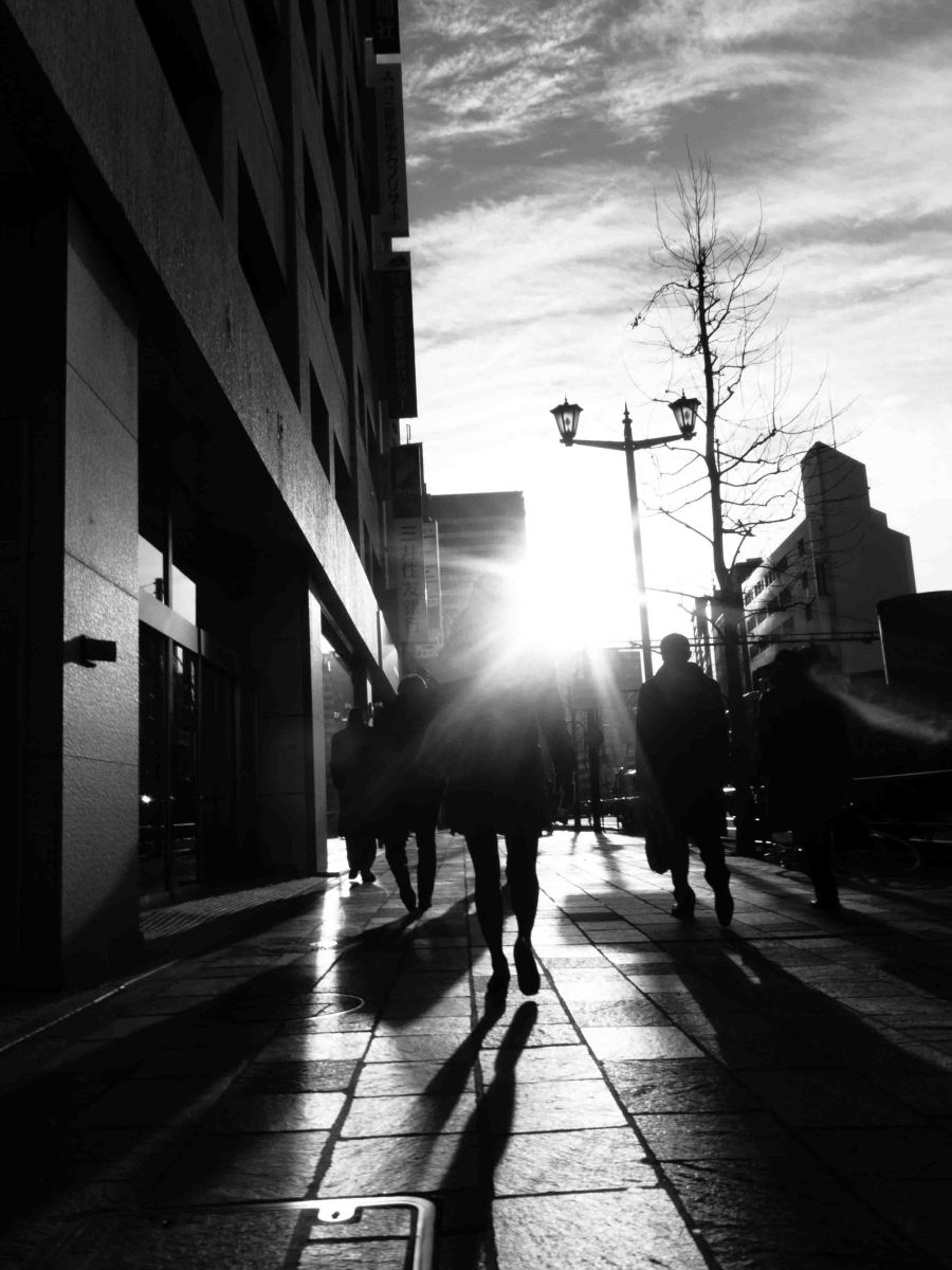 A New Day II | GANREF