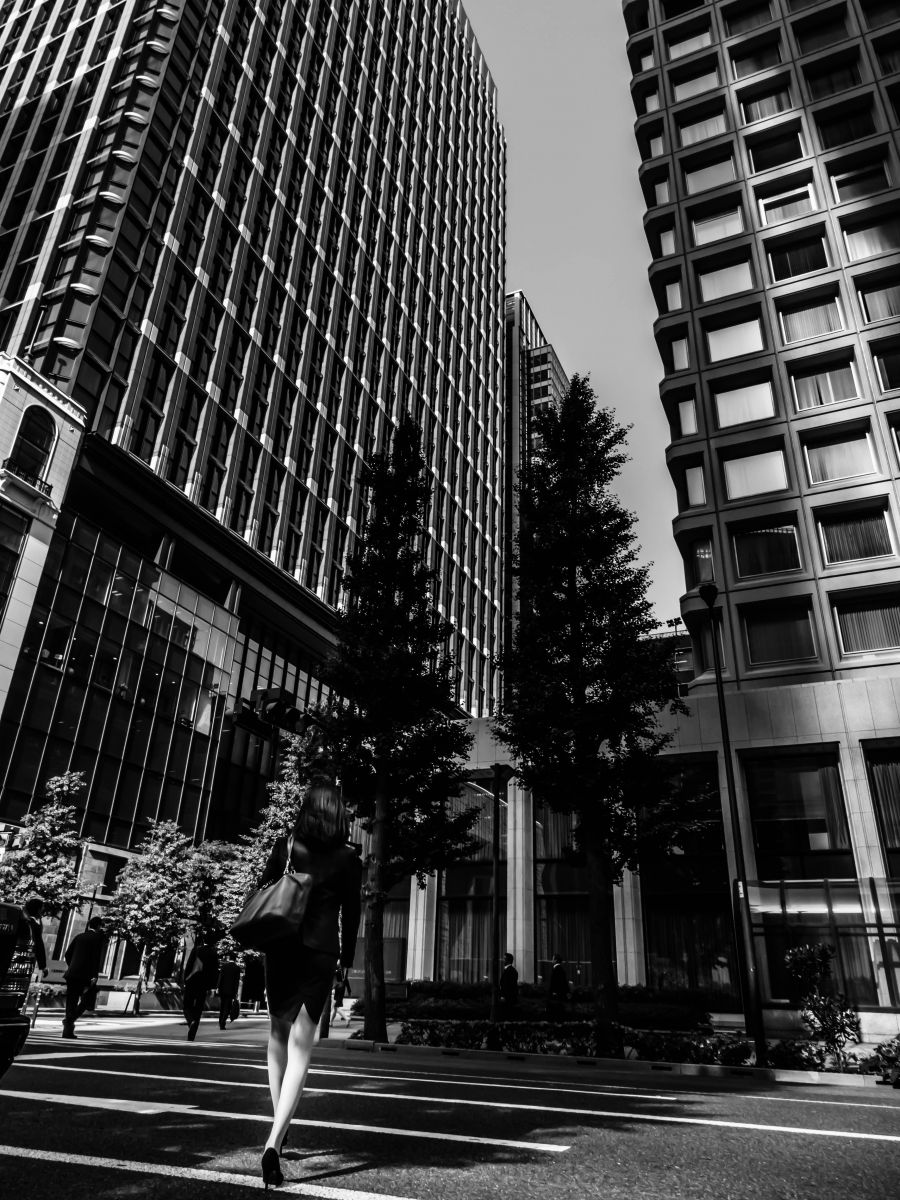 Light and Shade | GANREF