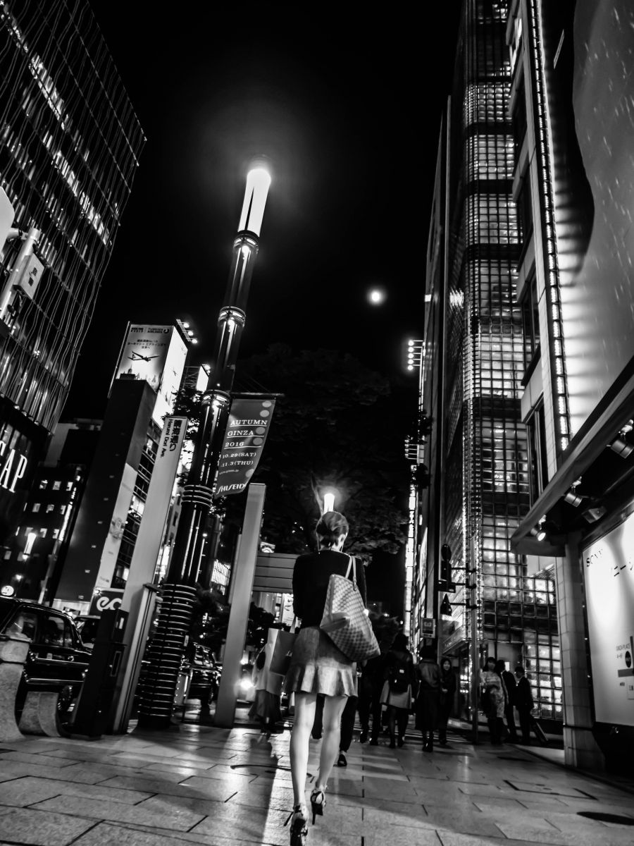 Moon Over the Street | GANREF