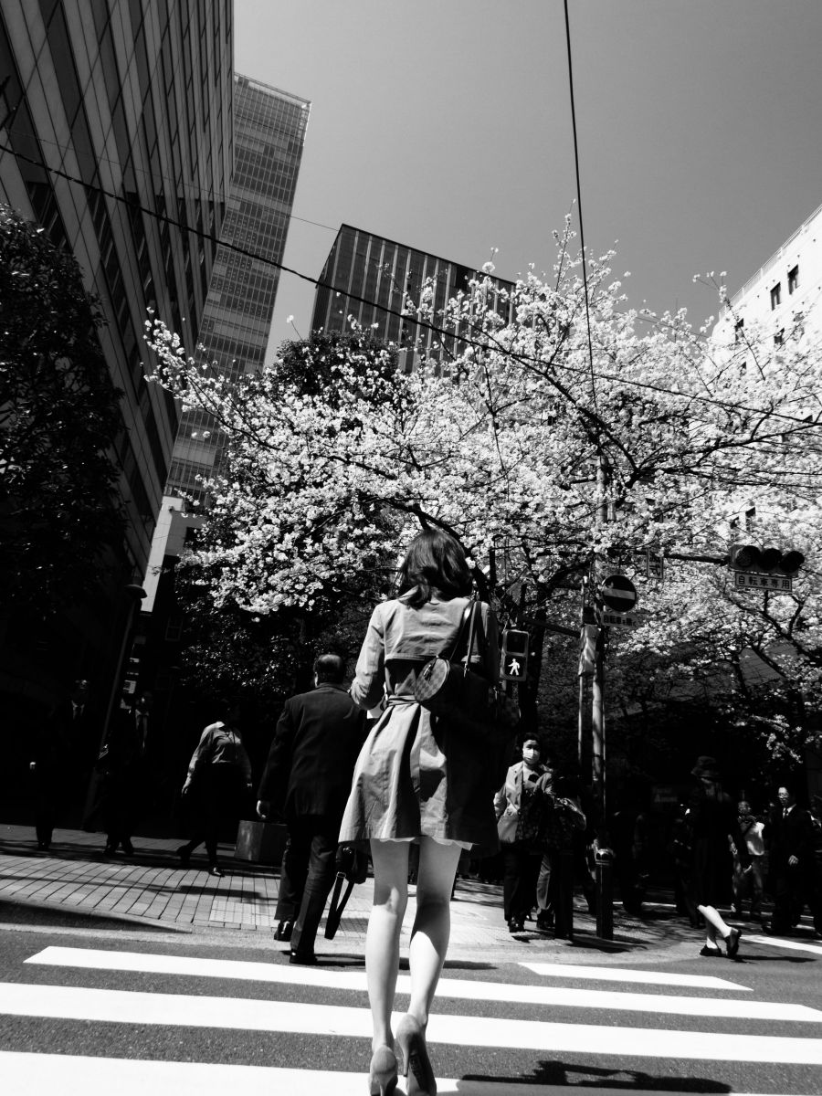 Woman in Pink | GANREF