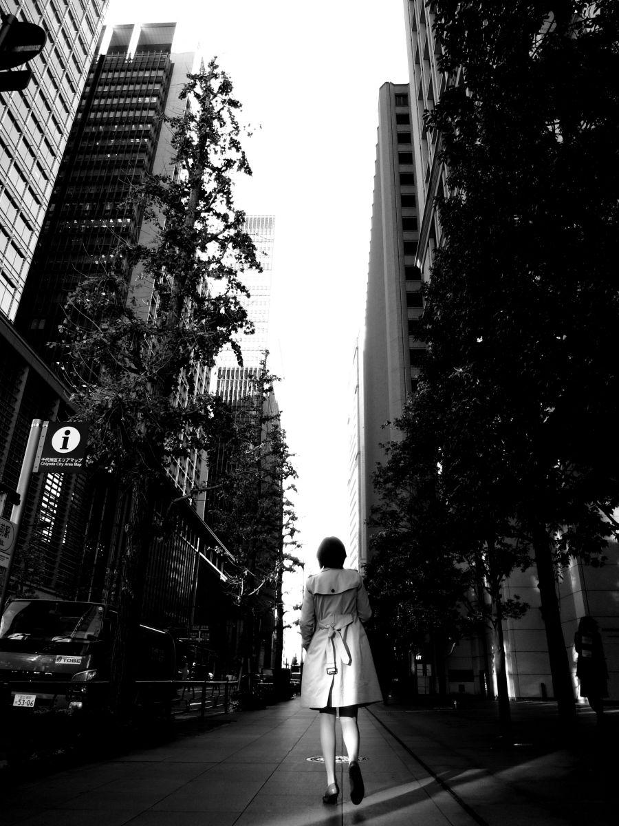 Spot LightⅡ | GANREF