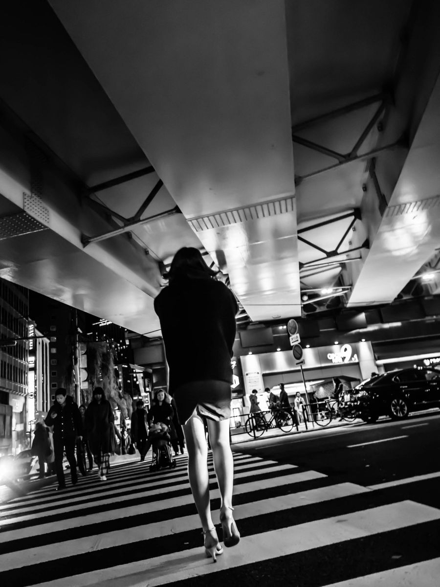 Flash Light | GANREF