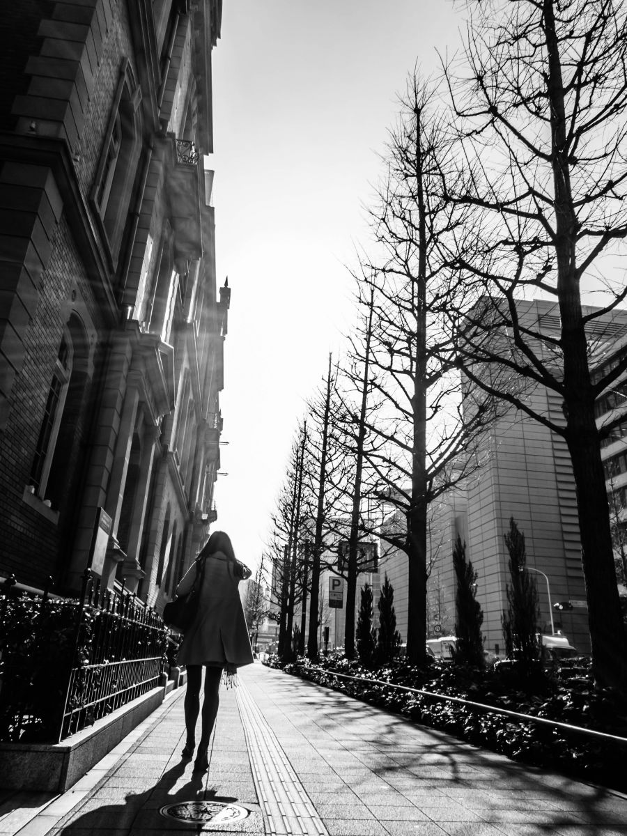 Spring Backlight | GANREF