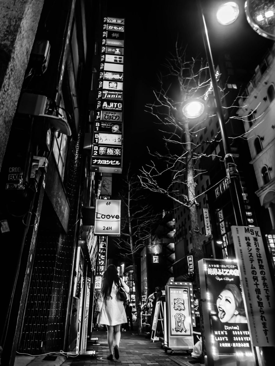 Pomo Monster | GANREF