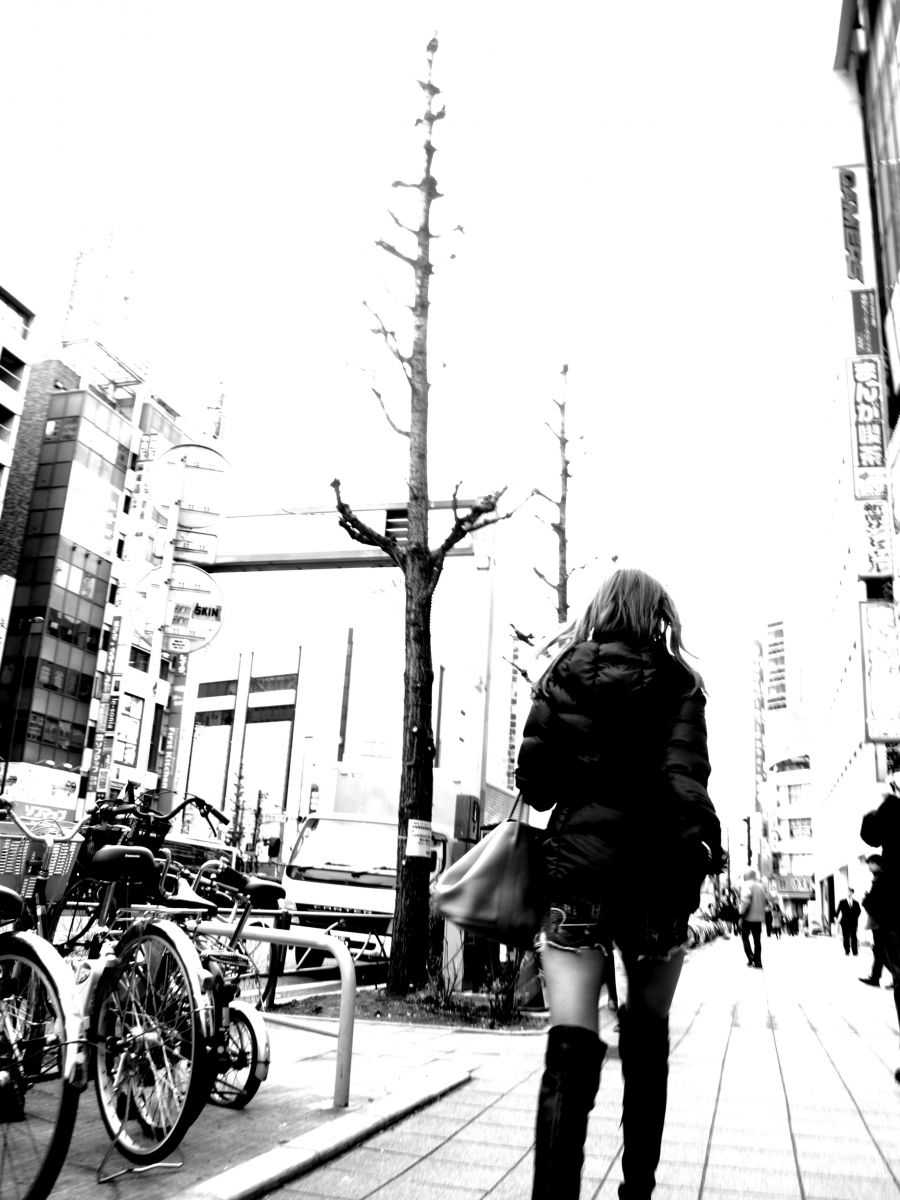 Shinjuku Cloudy | GANREF