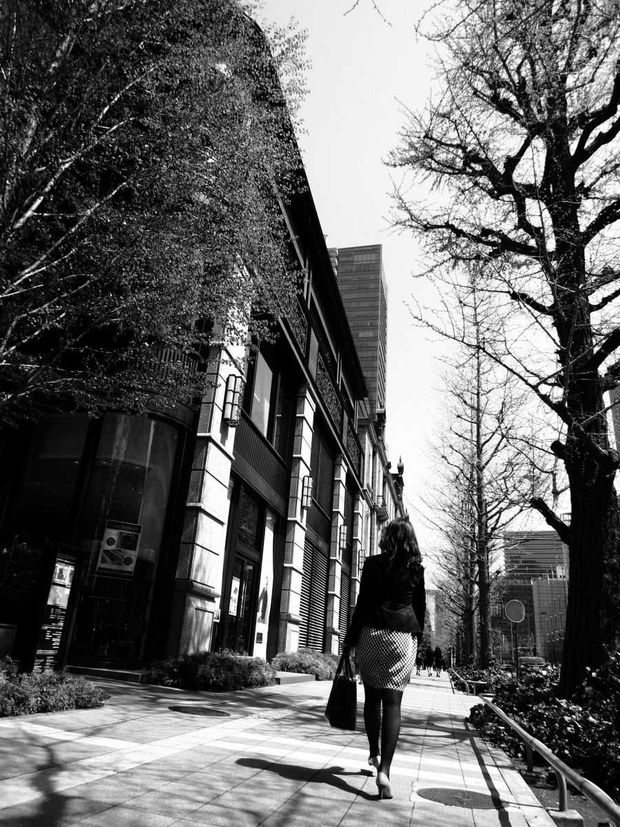 Spring Sunlight | GANREF