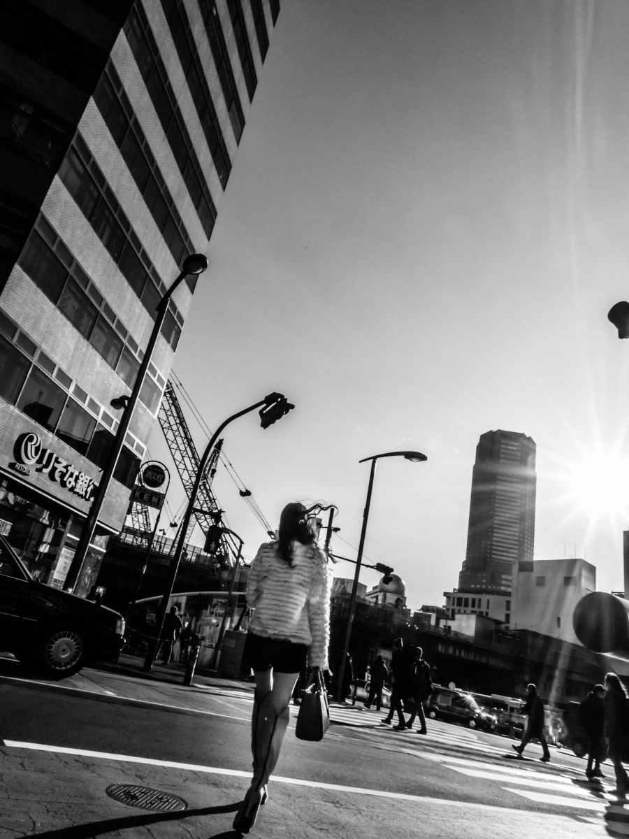 Winter Sunshine | GANREF