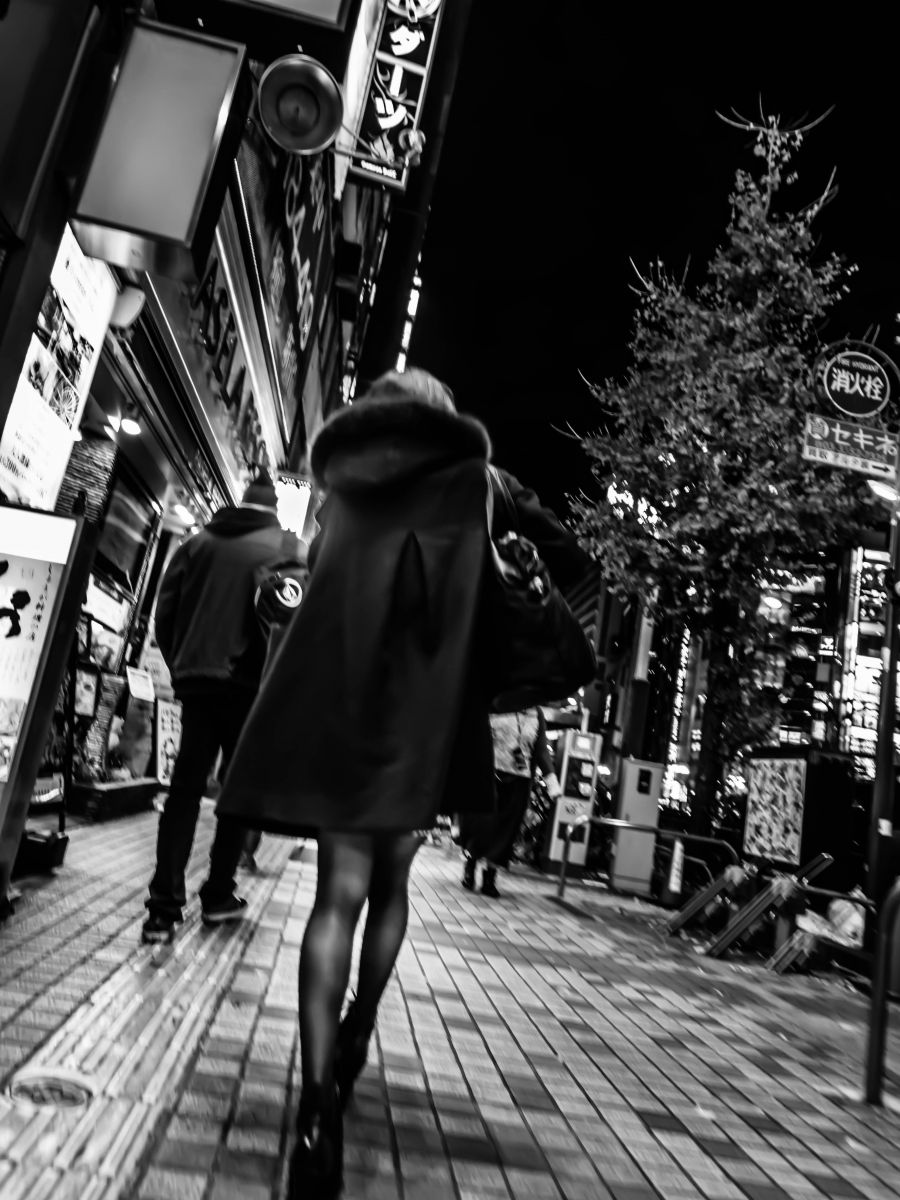 Holy Night in Kabukicho | GANREF