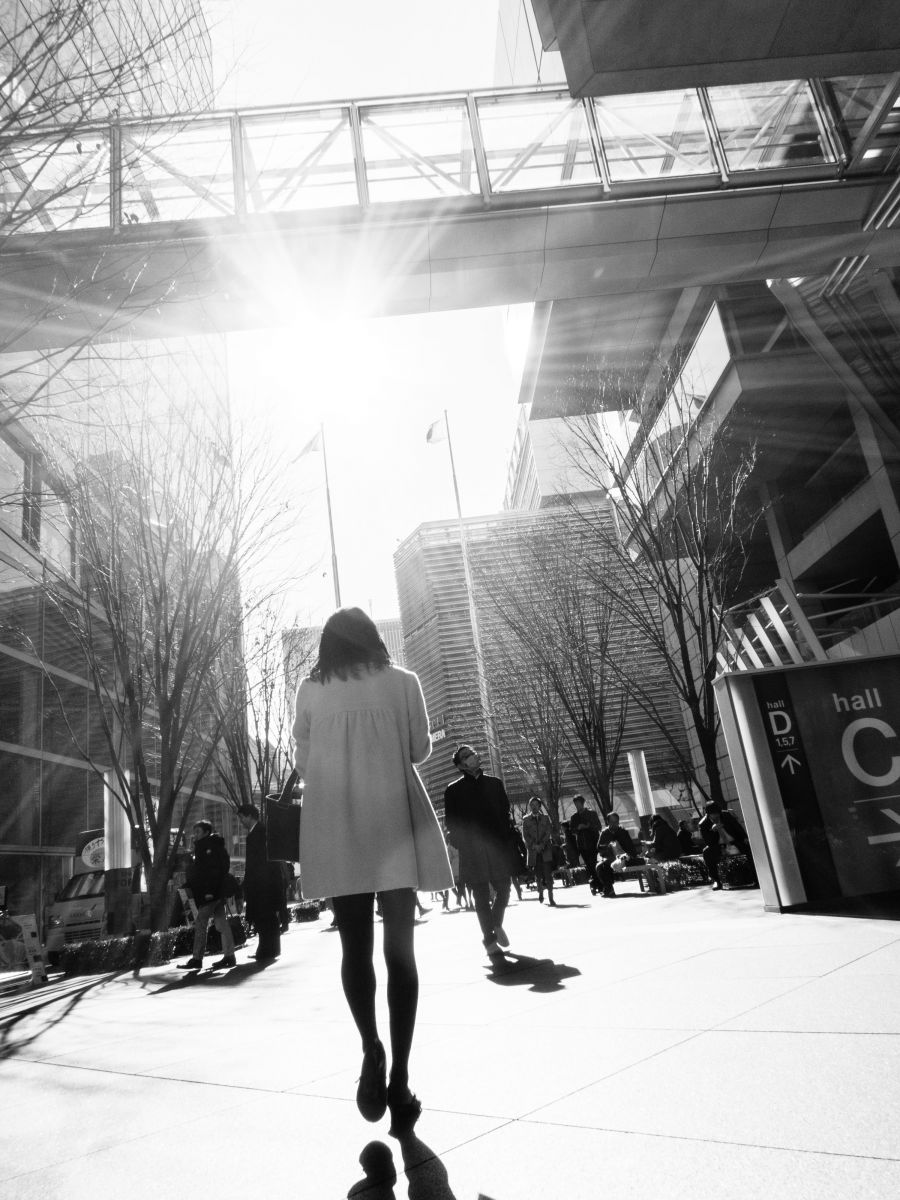 Winter Sunshine | GANREF