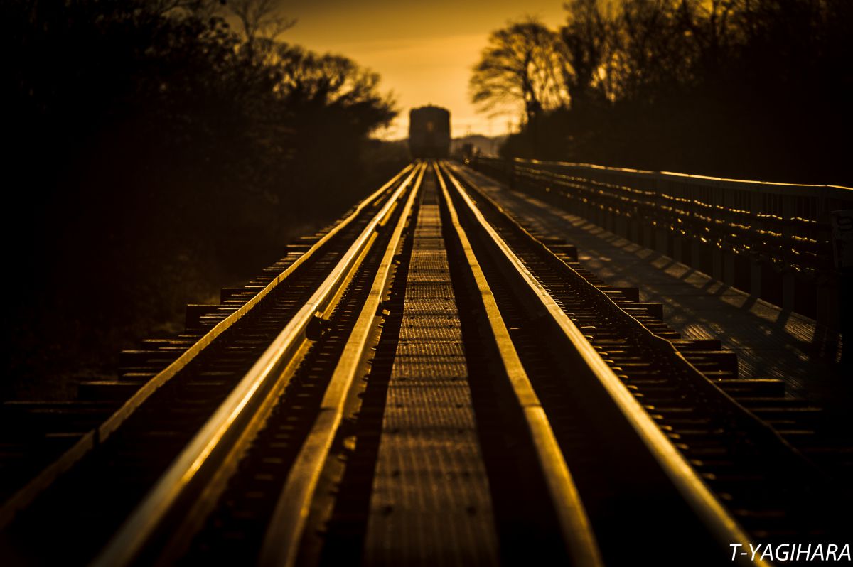 RAIL ROAD GOLD | GANREF