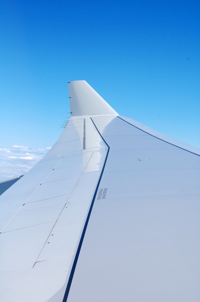 the left wing | GANREF