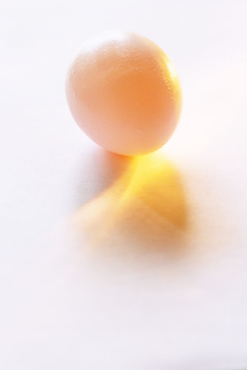 Egg* | GANREF