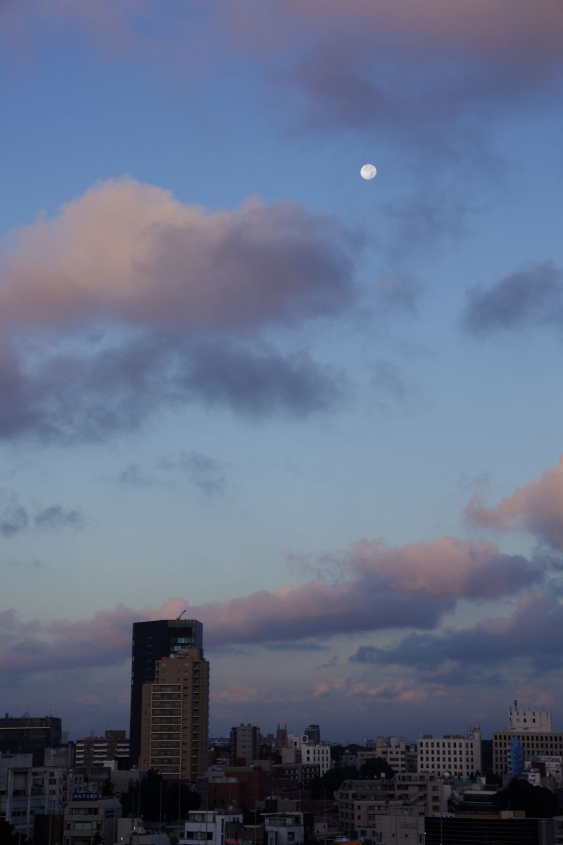 夜の名残 | GANREF