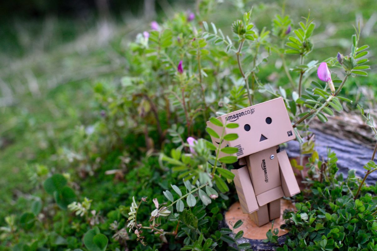 ダンボー5 | GANREF