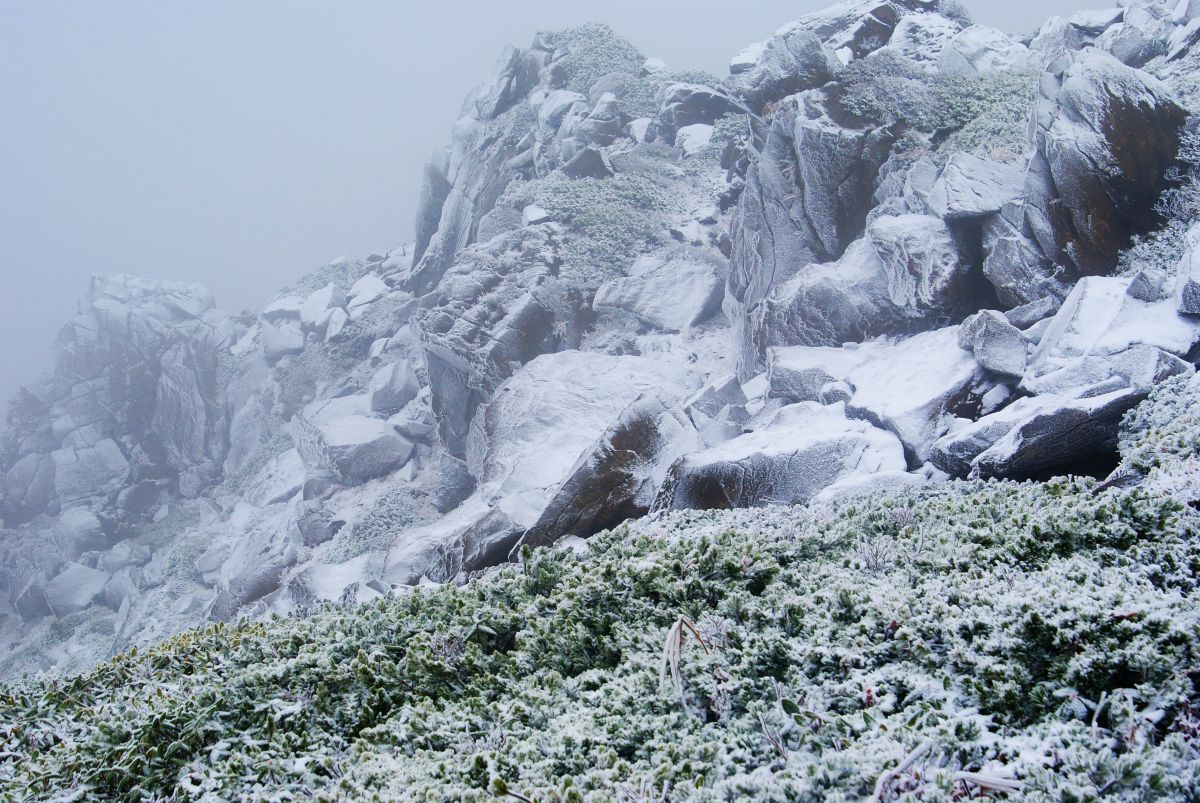 General Frost | GANREF