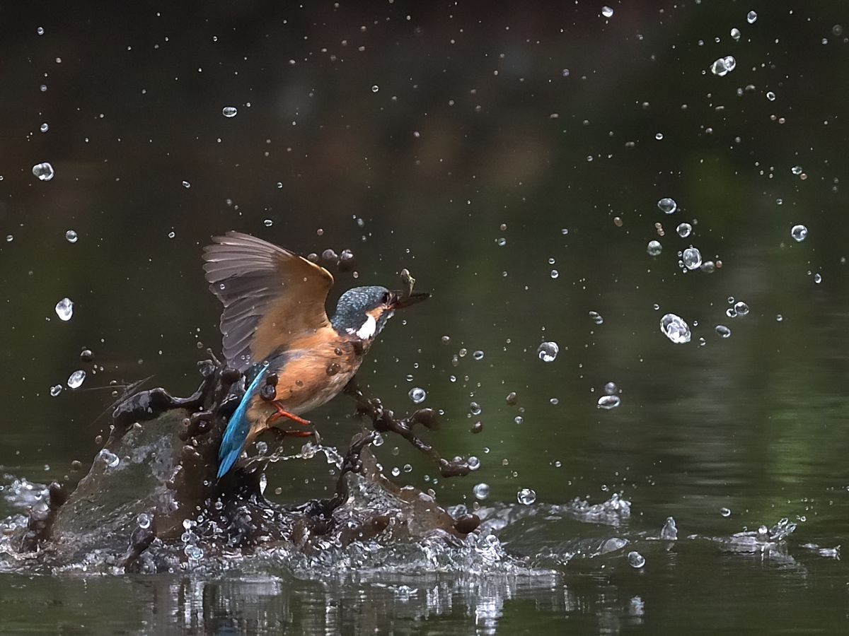 泥まみれ（その1）_21AUG16 | GANREF