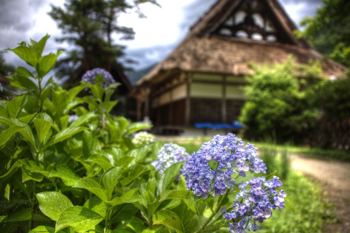 白川郷（HDR） | GANREF