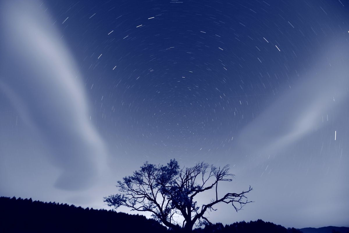 北斗の樹の下で | GANREF