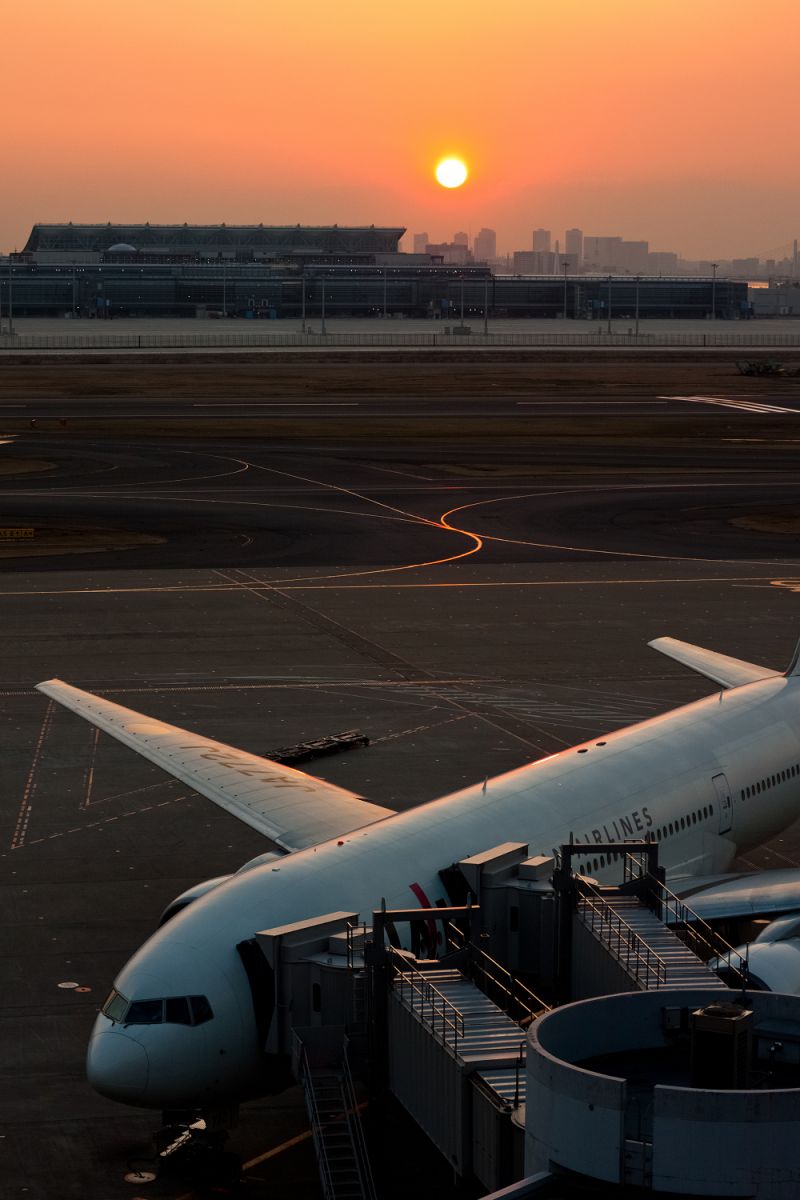 翼を休める | GANREF