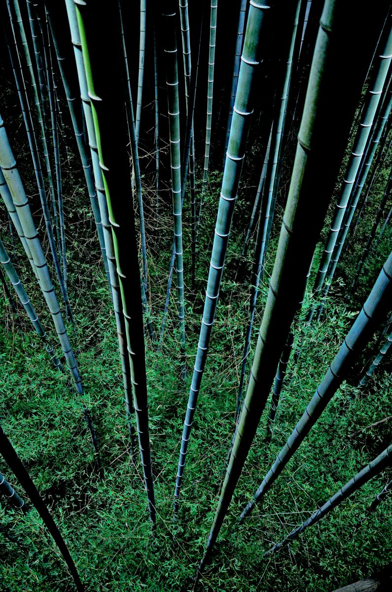 うひゃ～、高けー | GANREF