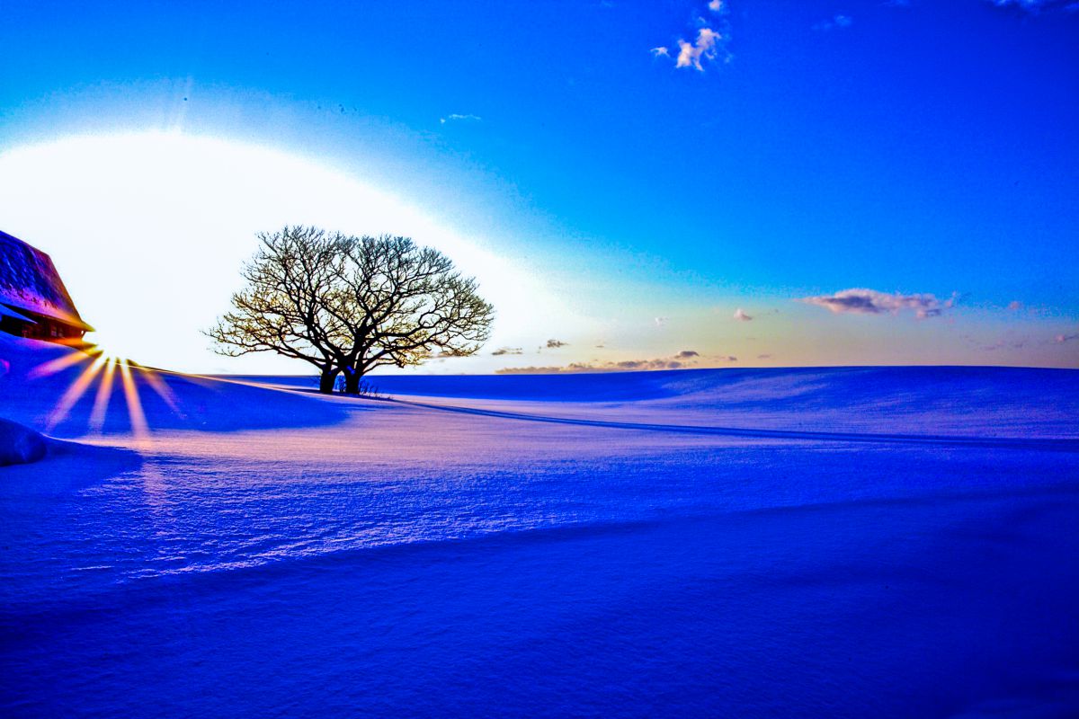 Sunset Blue | GANREF