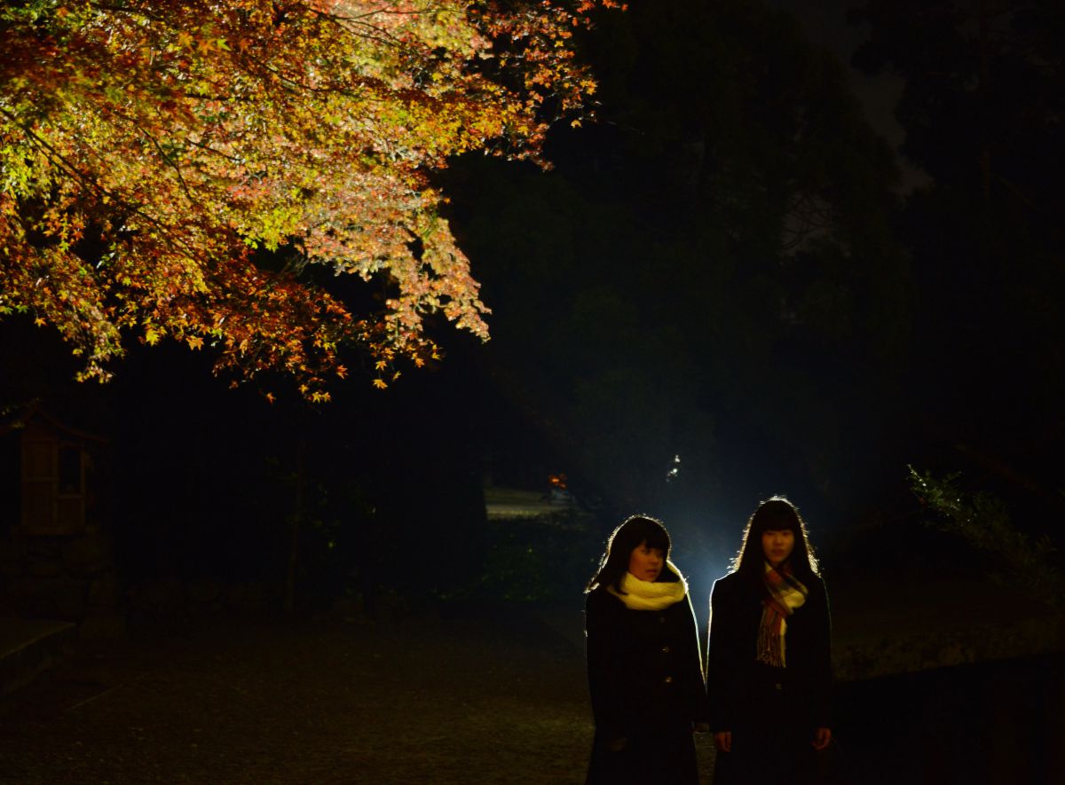 それぞれの想い | GANREF