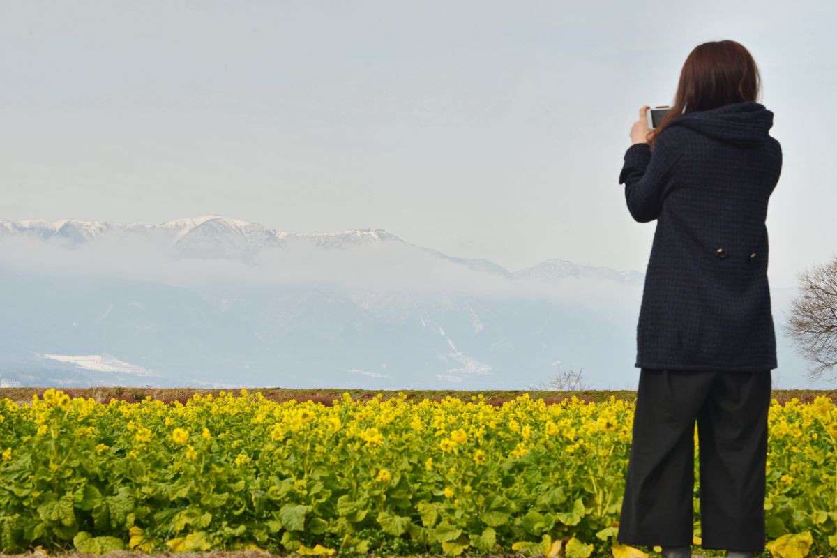 ONE・POINT | GANREF