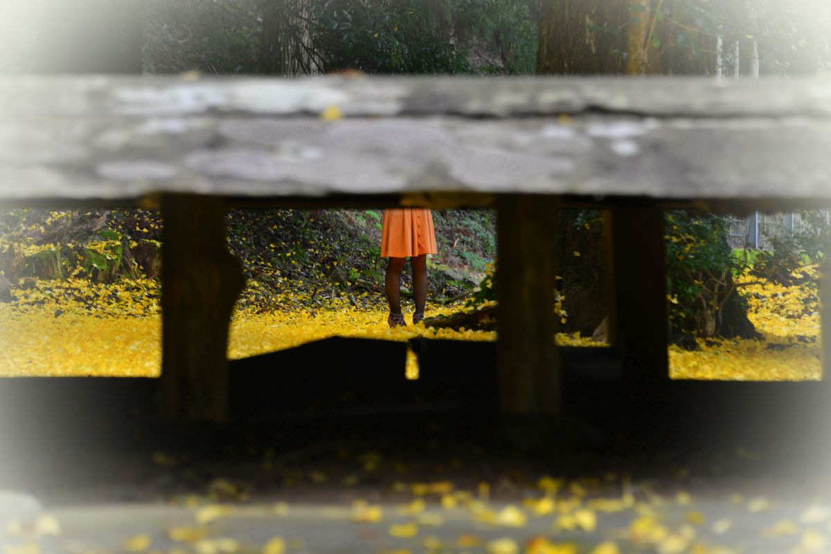 黄葉の乱れ咲き c | GANREF