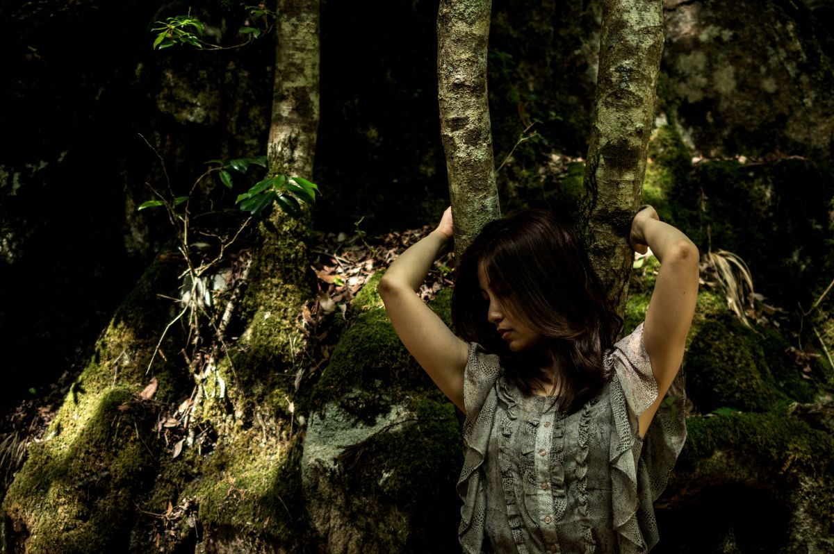 『forest』 | GANREF