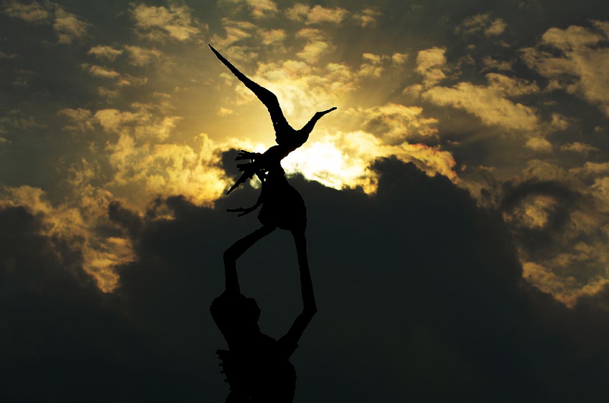 『fly away』 | GANREF