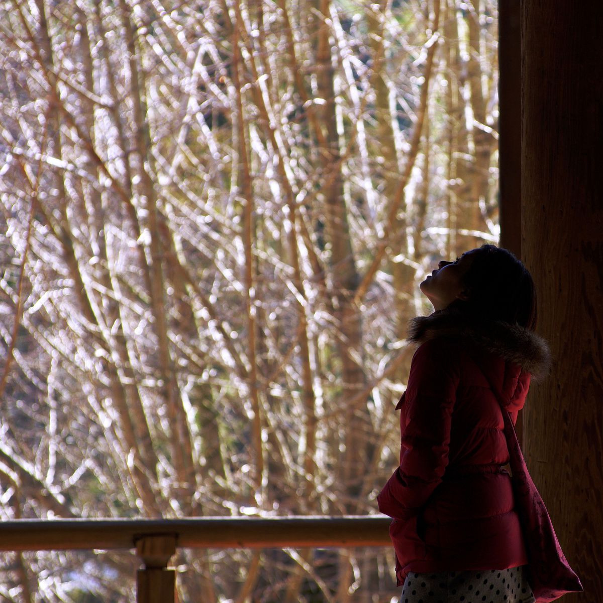 『The bright future is your thing 』 | GANREF