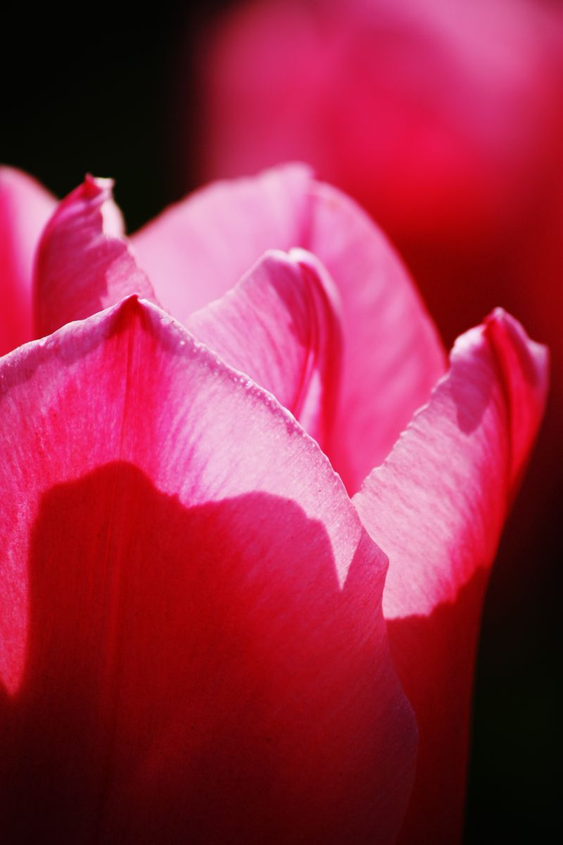 IMG_2510.JPG | GANREF