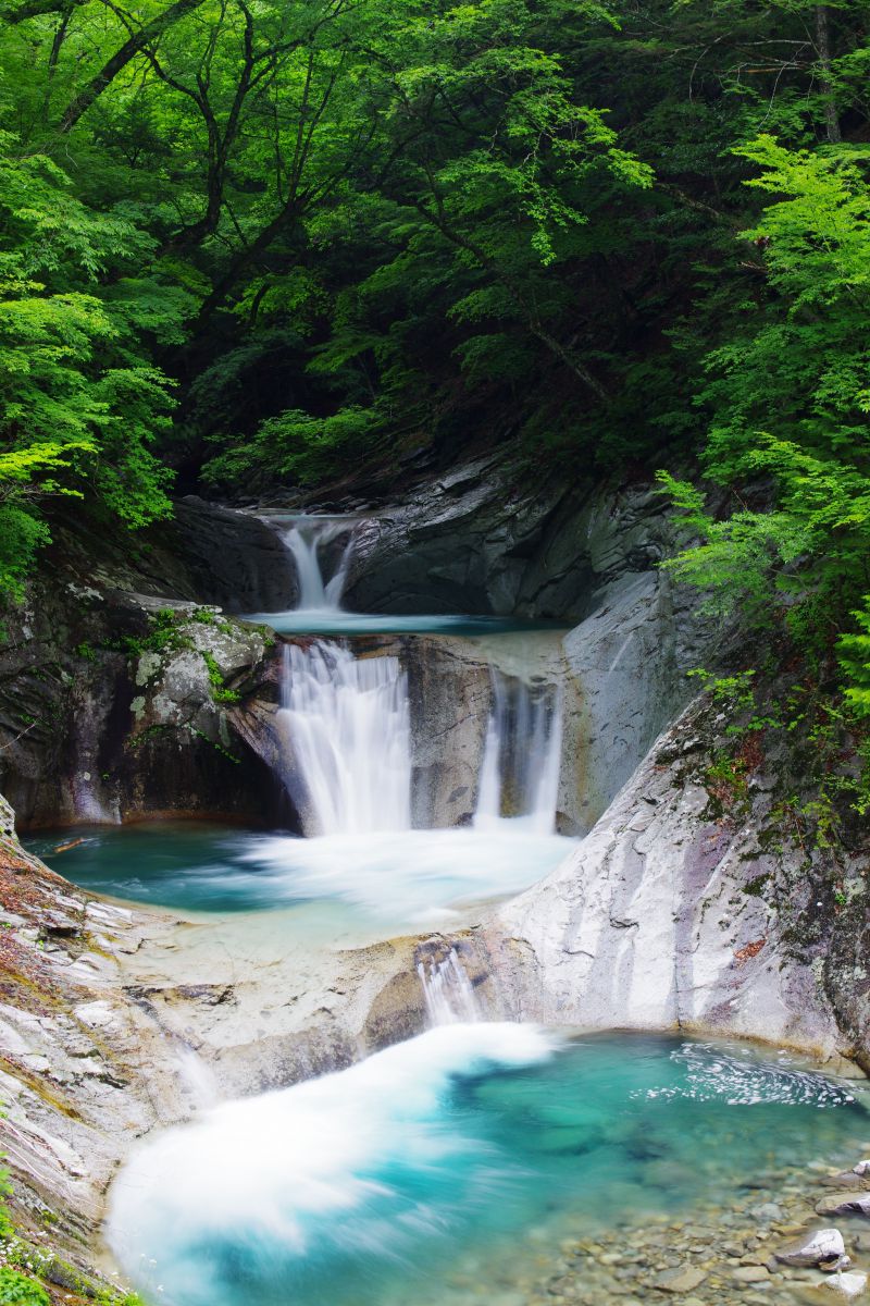 青き流れに④ | GANREF