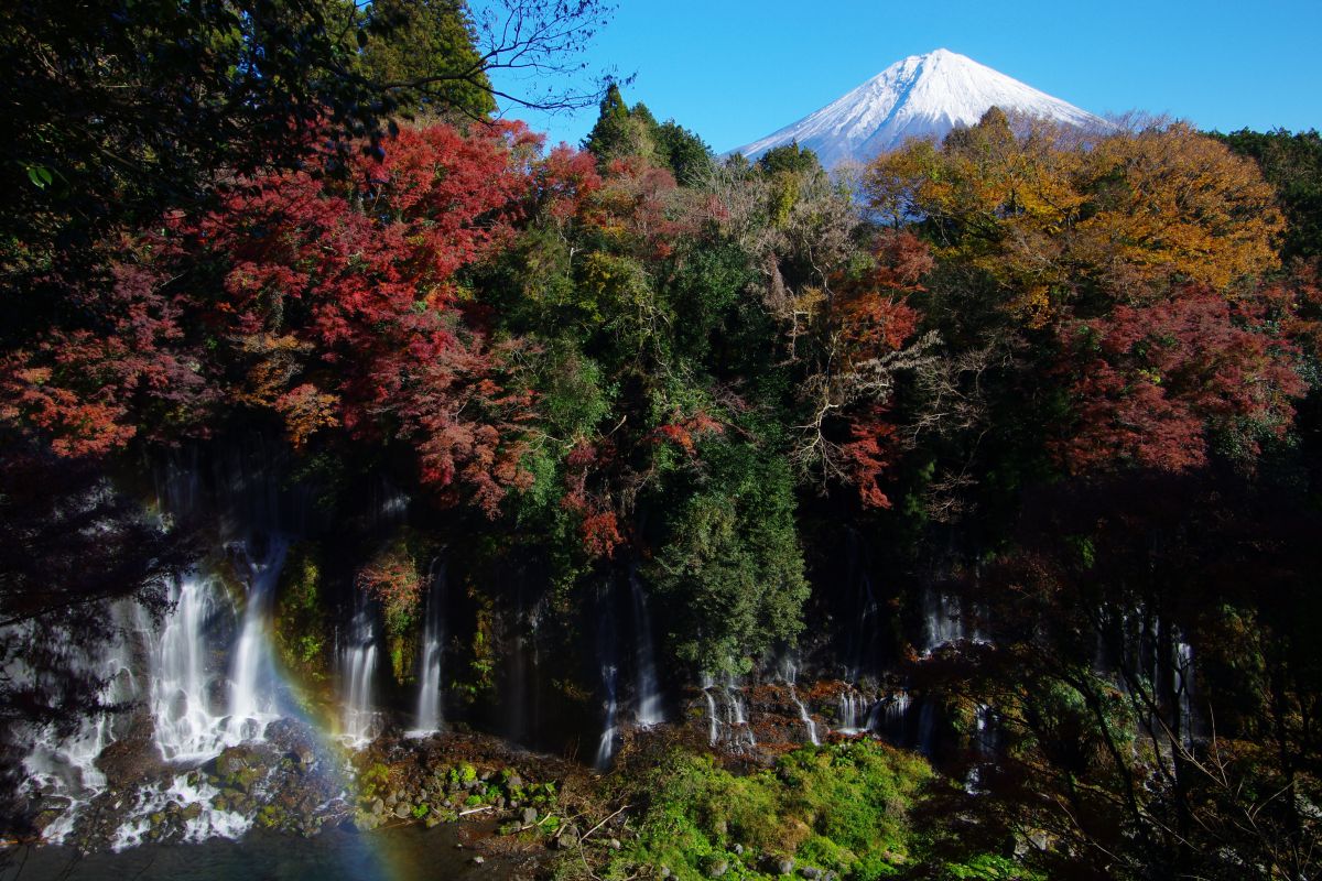 like a postcard | GANREF