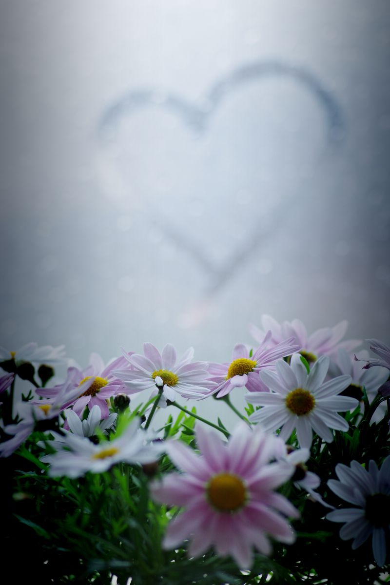 TOUCH MY "♡" | GANREF